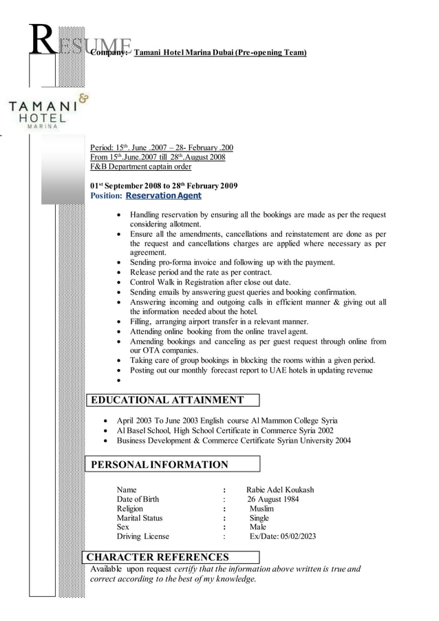 Rabie Updated CV | PDF