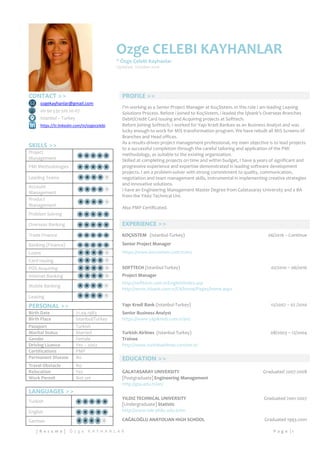OzgeKayhanlar_CV | PDF