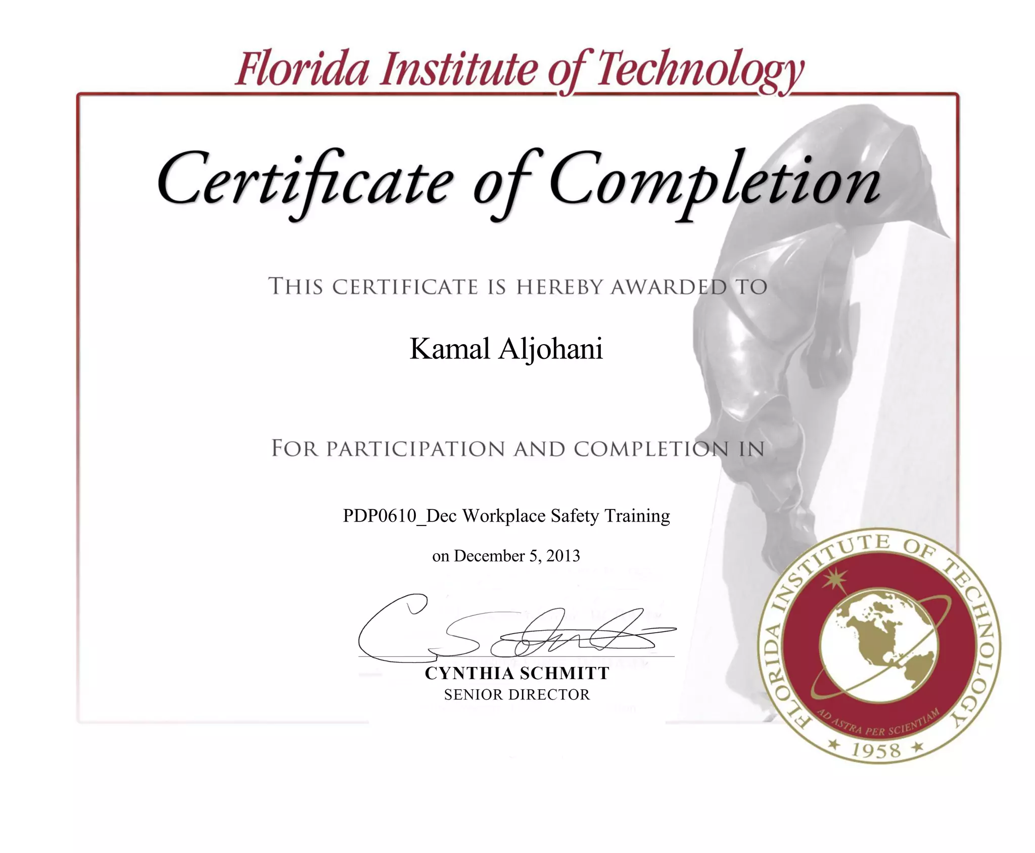 Safety Certificate.PDF