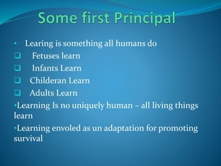 The Process of Learning | PPT