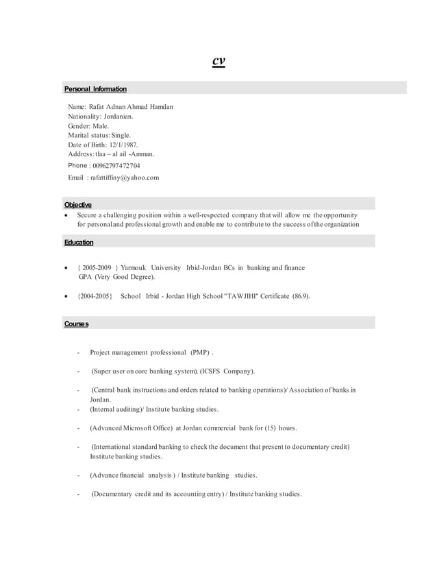 cv ( rafat hamdan ) | PDF
