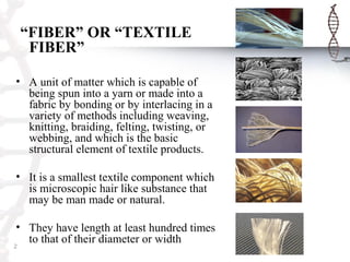 81177264 textile-fibres | PPT