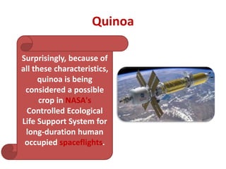 Protein and Fiber Content quinoa vs legumes | PPTX