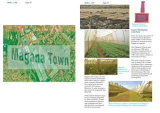 Magana Flowers Newsletter | PPT