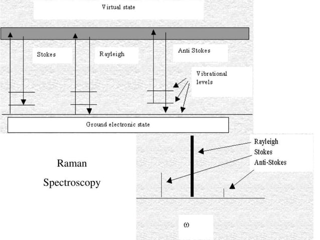Introduction to Raman Spectroscopy Historical Background The Raman Effect Instrumentation in ...