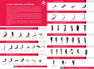 raphadon e-brochure | PPT