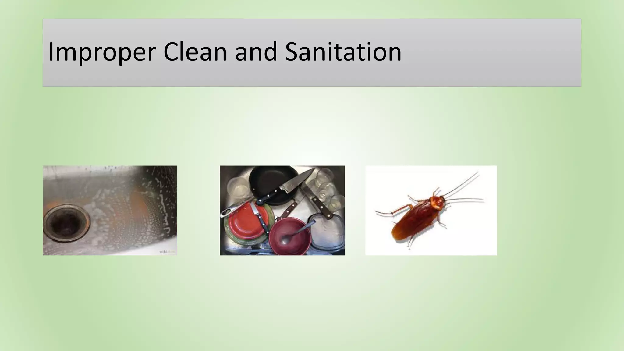 Food Safety & Hygiene | PPTX