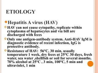 infectious hepatitis | PPT | Infectious Diseases | Diseases and Conditions