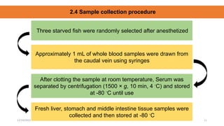 Probiotic effects on fish seminar presentation and literature review ...