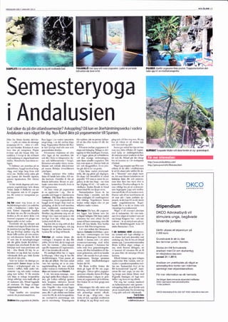 Yogaartikel Nyan | PDF