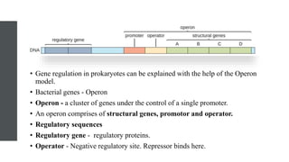 Negative control of transcription | PPTX
