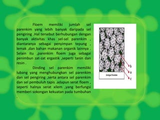 81546802 jaringan-pengangkut-floem | PPTX