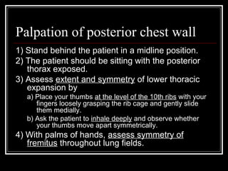 Respiratory Examination | PPT