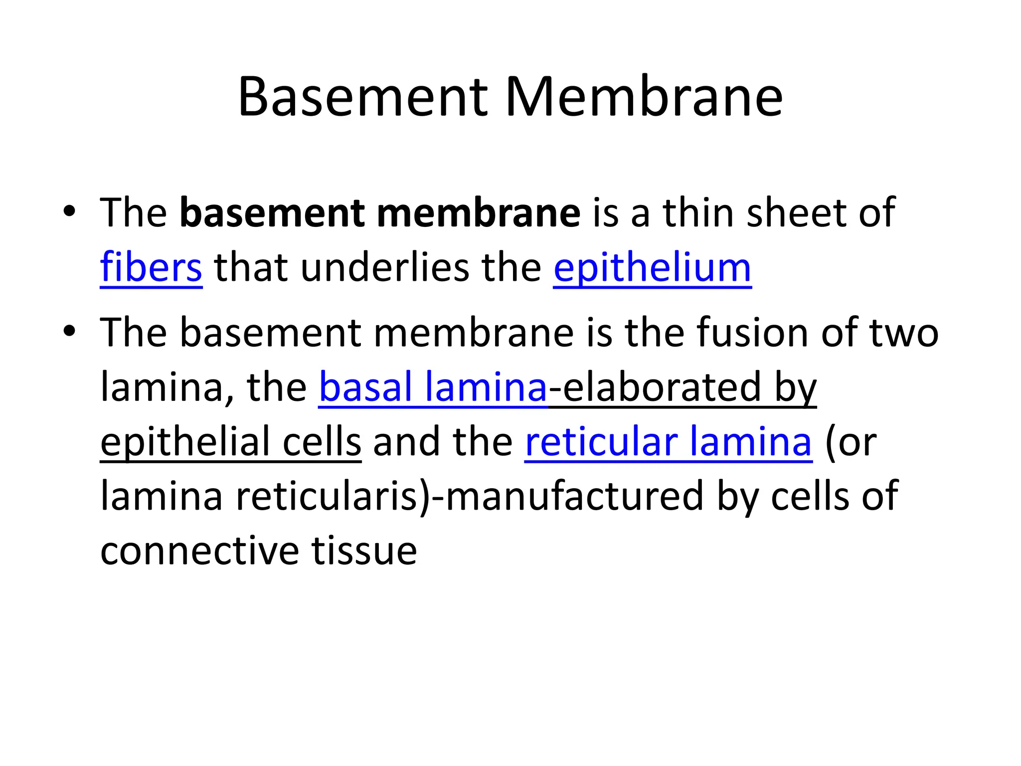 815_Simple-epithelium.ppt