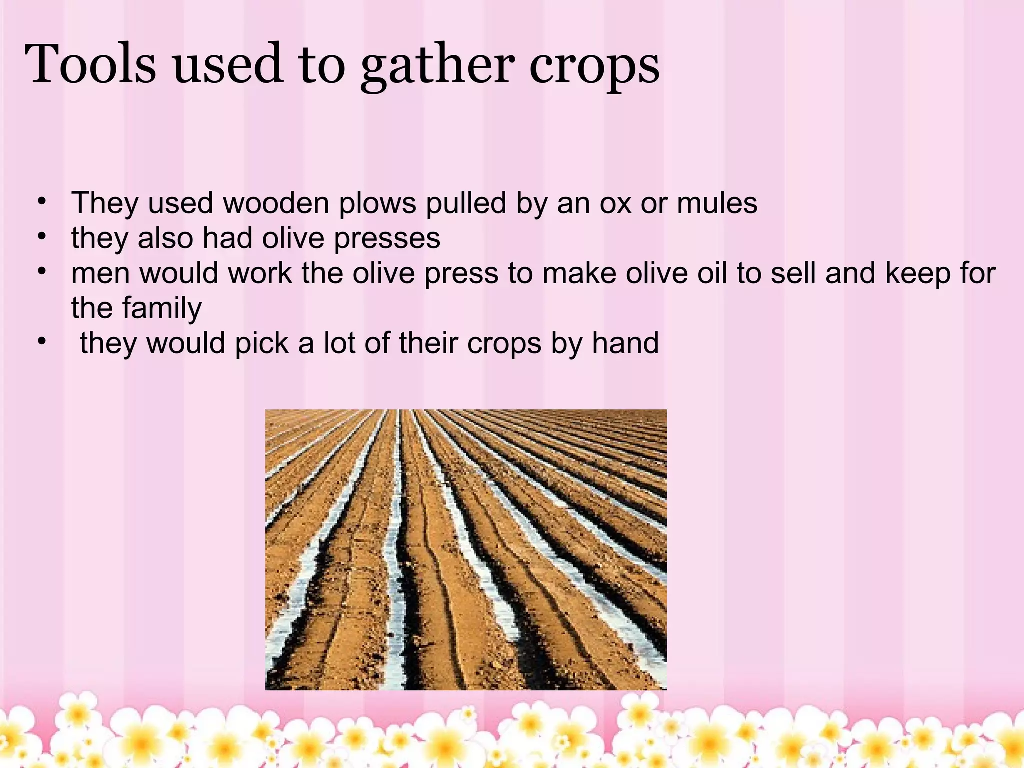 Ancient Greek Food and Agriculture By Anna | PPT