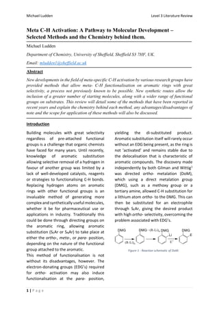 L3 Lit. Review Michael Ludden | PDF