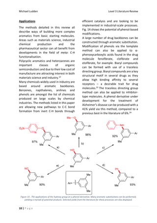 L3 Lit. Review Michael Ludden | PDF