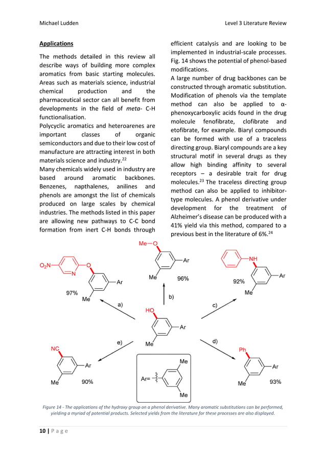 L3 Lit. Review Michael Ludden | PDF