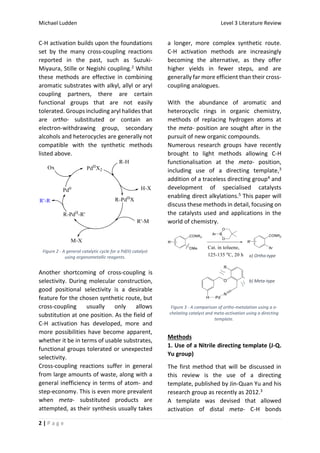 L3 Lit. Review Michael Ludden | PDF