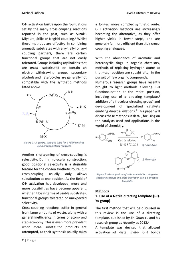 L3 Lit. Review Michael Ludden | PDF