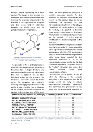 L3 Lit. Review Michael Ludden | PDF