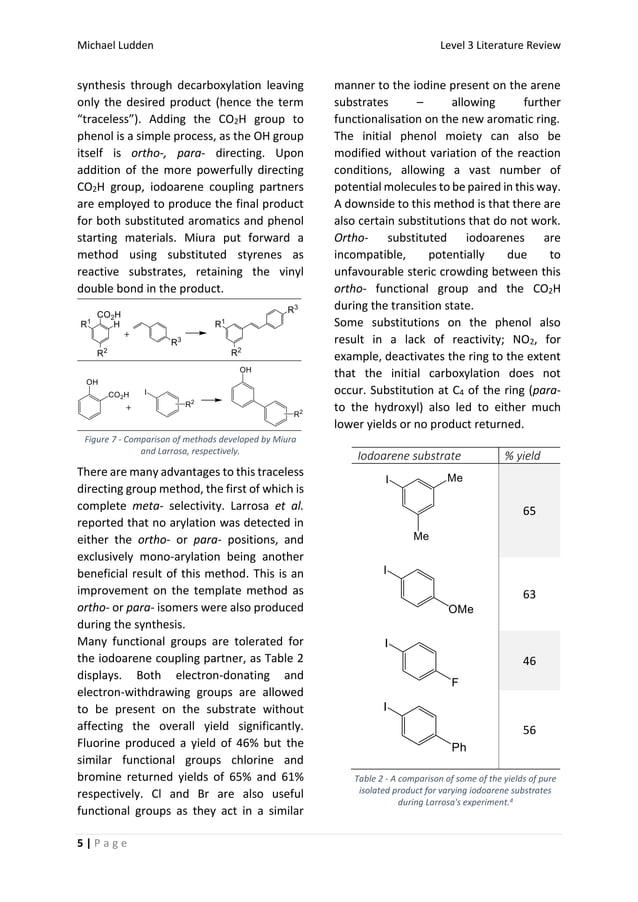 L3 Lit. Review Michael Ludden | PDF