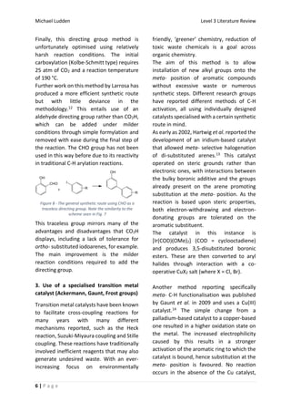 L3 Lit. Review Michael Ludden | PDF