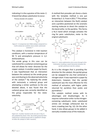 L3 Lit. Review Michael Ludden | PDF