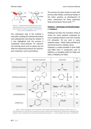 L3 Lit. Review Michael Ludden | PDF