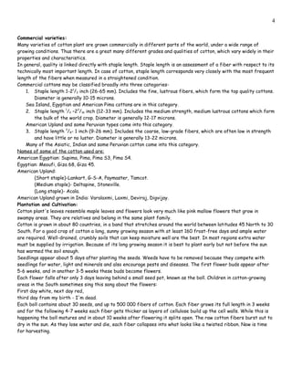 Assignment paper on Cotton | DOC