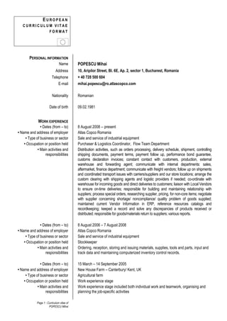 CV MIHAI POPESCU 2017 | PDF | Logistics | Business