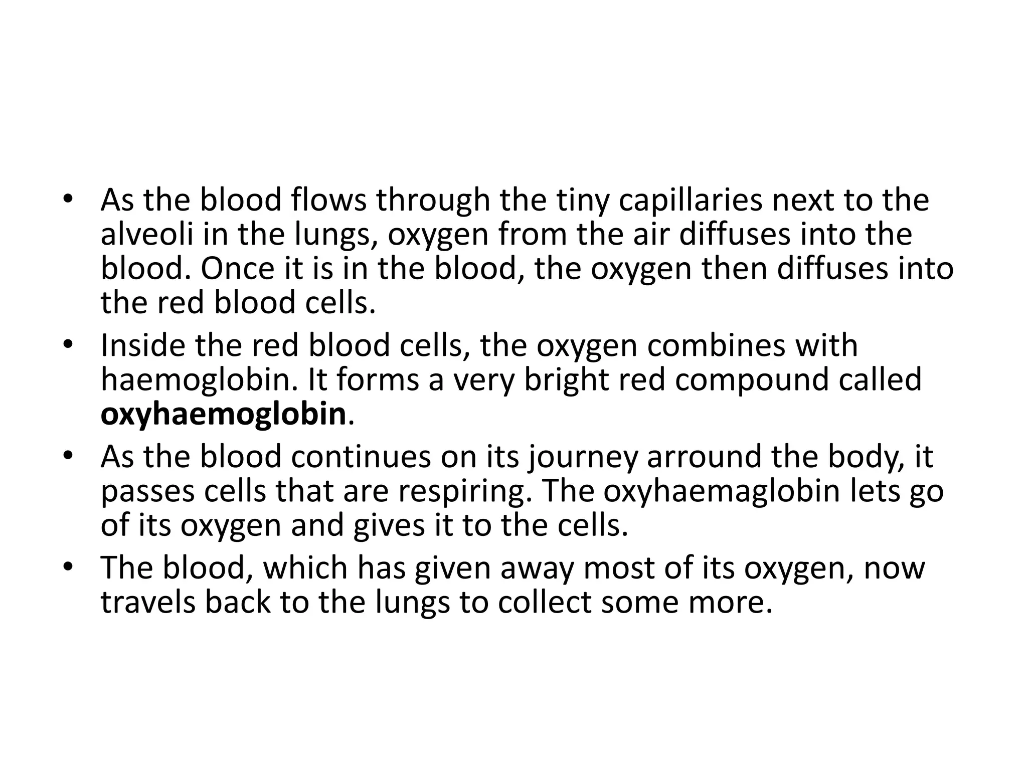 Lower Secondary Science Grade 8 Chapter 1 Respiration.pptx