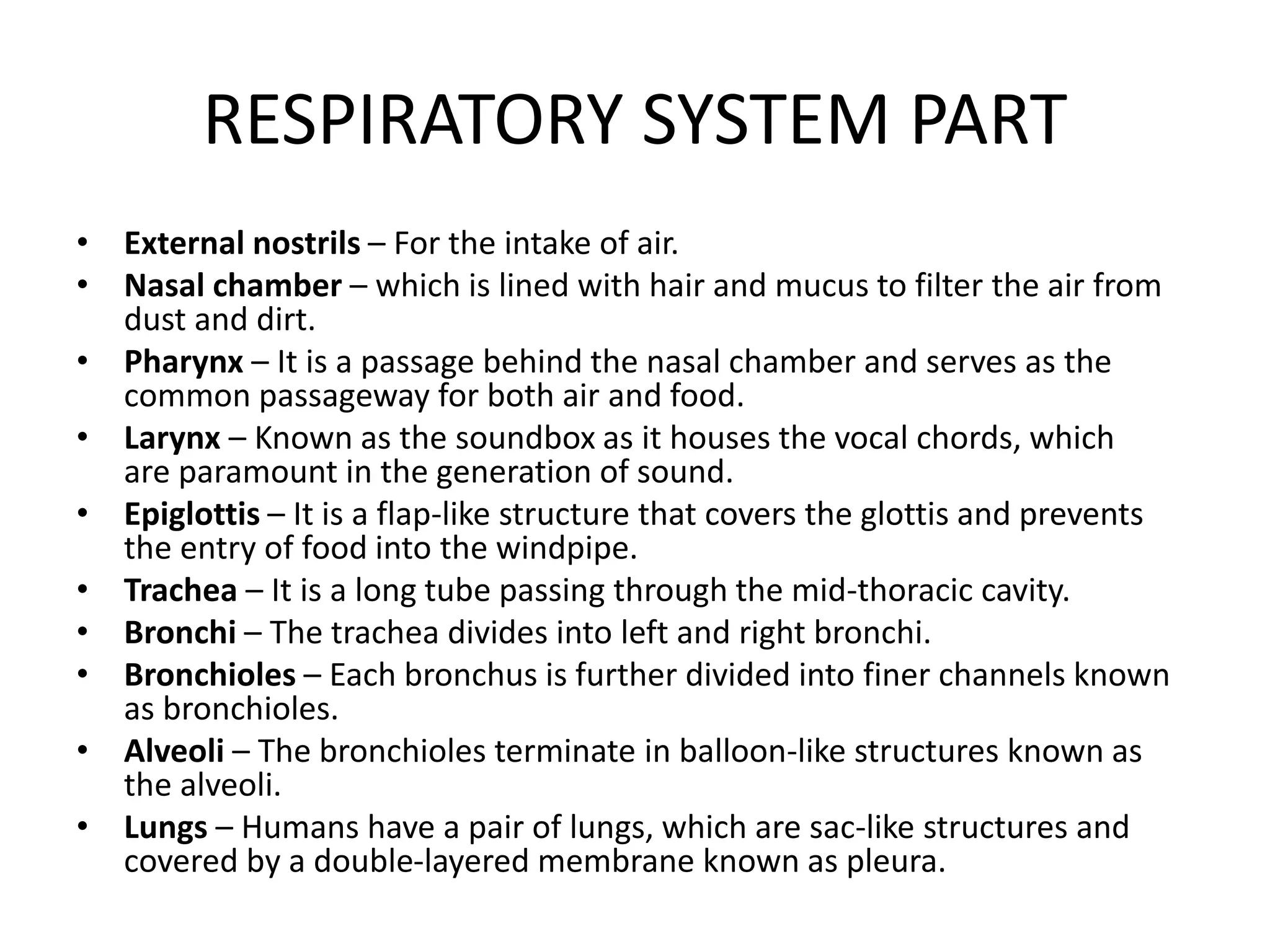 Lower Secondary Science Grade 8 Chapter 1 Respiration.pptx