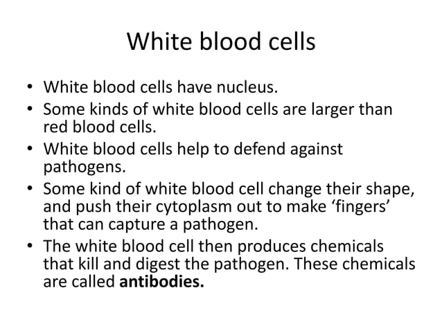 Lower Secondary Science Grade 8 Chapter 1 Respiration.pptx | Lung and ...