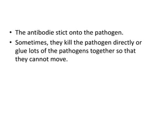 Lower Secondary Science Grade 8 Chapter 1 Respiration.pptx