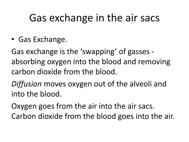 Lower Secondary Science Grade 8 Chapter 1 Respiration.pptx | Lung and Respiratory Health ...