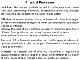 Chap_6_Plant_Water_Relations.pptx