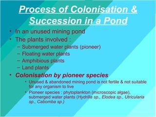 8[2].2 the processes of colonisation & succession | PPT