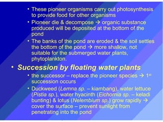 8[2].2 the processes of colonisation & succession | PPT