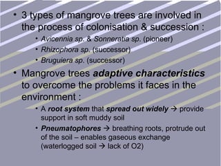 8[2].2 the processes of colonisation & succession | PPT