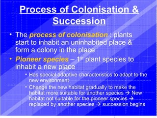 8[2].2 the processes of colonisation & succession | PPT