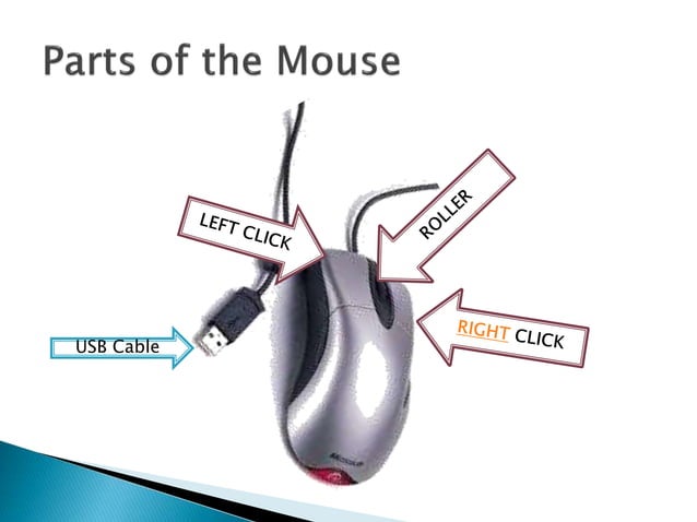 82 demonstrate proper use and handling of the mouse | PPT