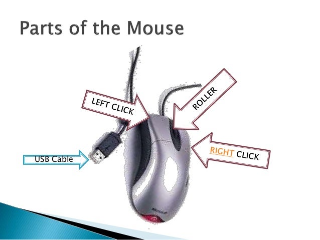82 demonstrate proper use and handling of the mouse