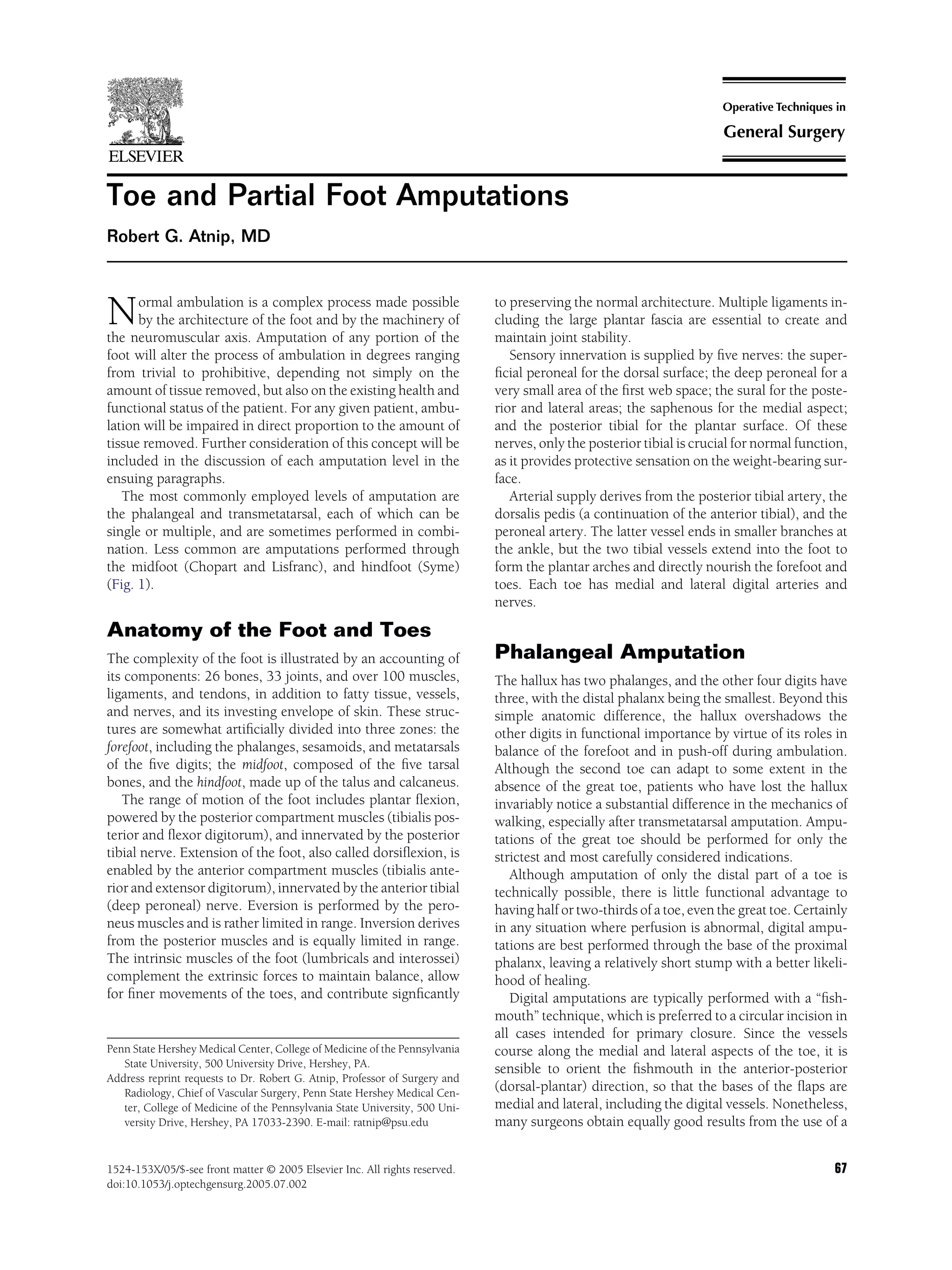 Toe and Partial Foot Amputations | PDF
