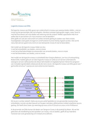 Logische niveaus Dilts | PDF