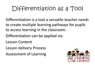 Differentiated Strategies to promote Inclusion2000 | PDF
