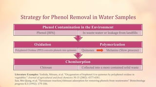 Phenol | PPTX | Chemistry | Science
