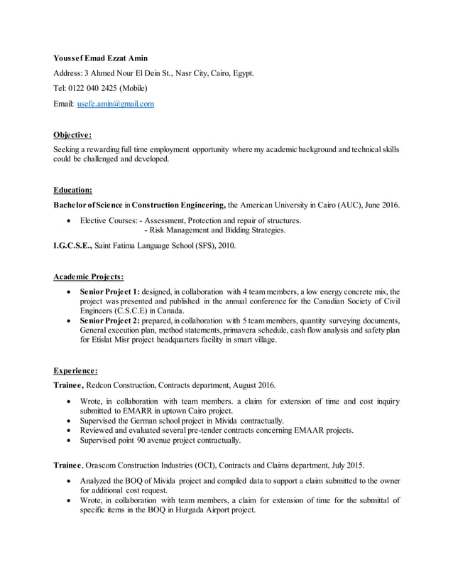 Youssef Amin CV | PDF