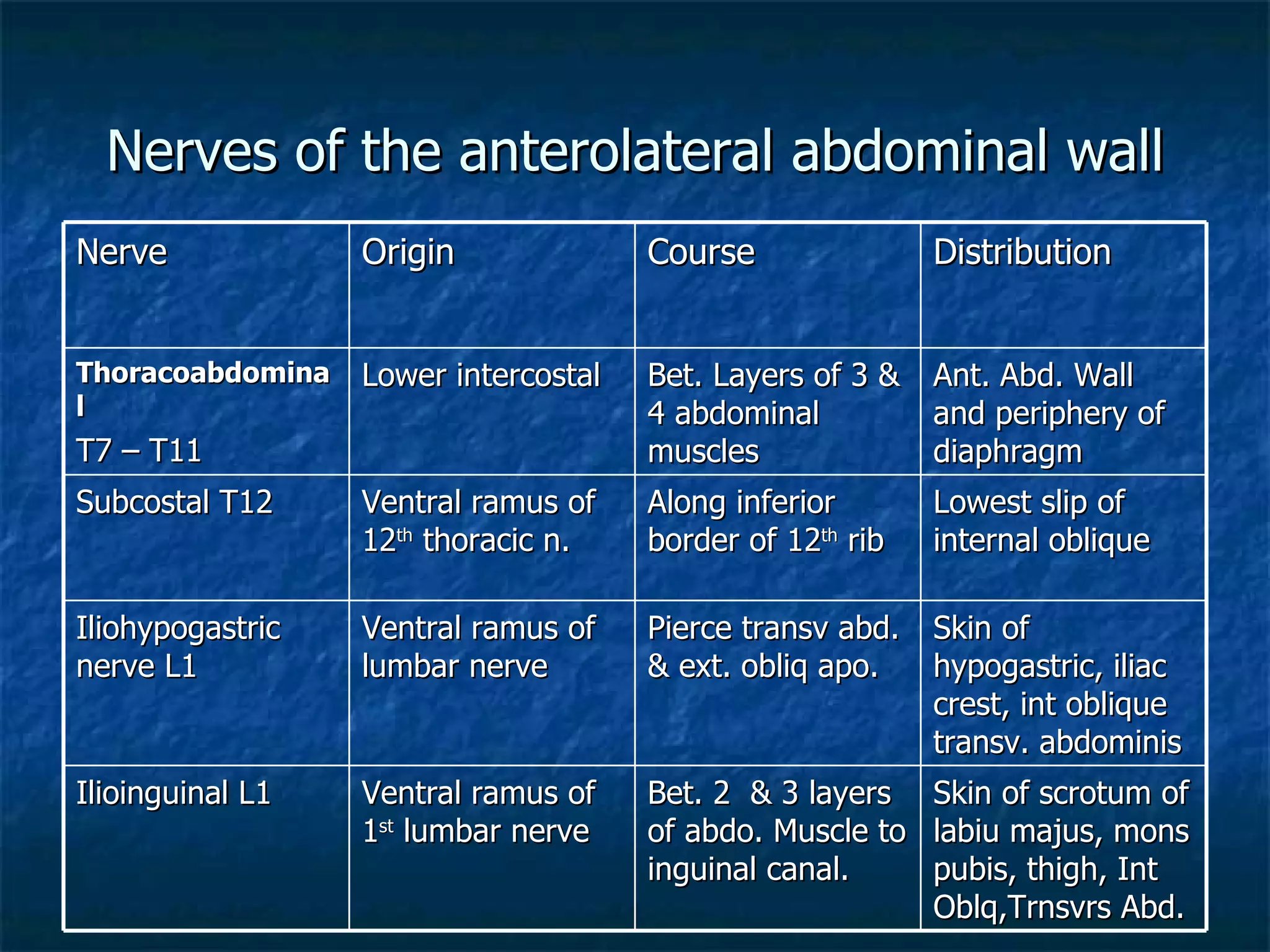 823946 abdominal-anatomy | PPT
